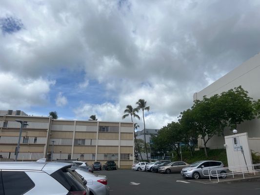 UNIVERSITY OF HAWAII AT MĀNOA - Updated December 2024 - 409 Photos ...