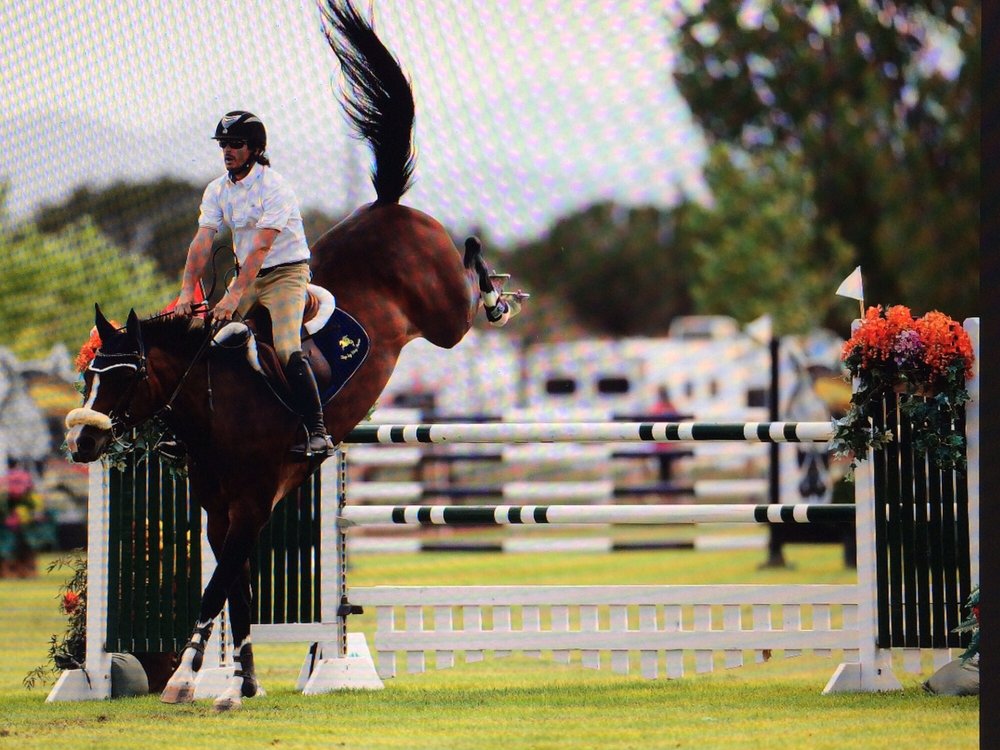 STEP BY STEP FARM - Updated August 2025 - 10 Photos - 10205 Crumley ...