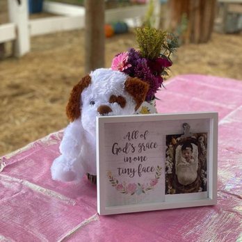 THE DINGLE FAMILY FARM AND STABLES - Updated November 2025 - 555 Photos ...