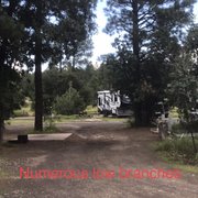 HON-DAH RV PARK - 26 Photos & 17 Reviews - Highway 73 & 260, Pinetop ...
