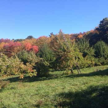 BOLTON SPRING FARM - Updated June 2024 - 66 Photos & 55 Reviews - 149 ...