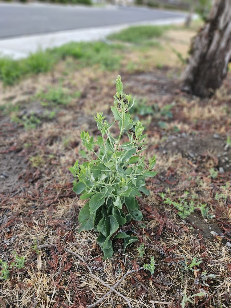 THE MANAGEMENT ALTERNATIVE - Updated December 2025 - 72 Photos & 18 ...