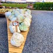 STOCKER FARMS - 156 Photos & 97 Reviews - 8705 Marsh Rd, Snohomish, WA ...