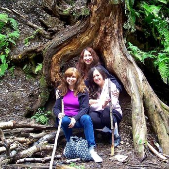 CHESTNUT RIDGE PARK - Updated May 2025 - 157 Photos & 60 Reviews - 6121 ...