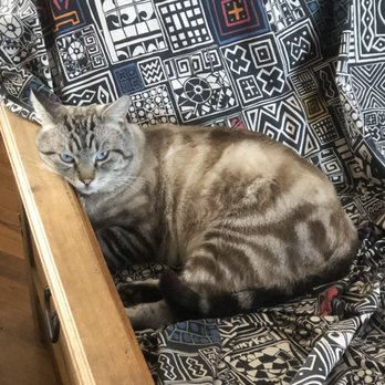 HIGH COUNTRY HUMANE - Updated December 2025 - 30 Photos & 25 Reviews ...