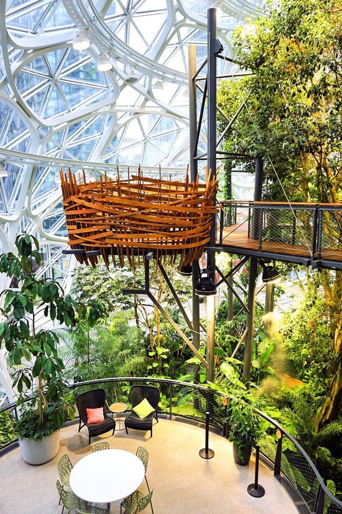 THE SPHERES DISCOVERY AT THE UNDERSTORY - 631 Photos & 75 Reviews ...