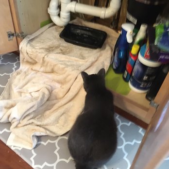 Rooter Ryan - Updated August 2025 - 11 Reviews - Harwich, Massachusetts ...