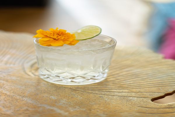 THE DUKE LOUNGE - Updated January 2026 - 88 Photos & 21 Reviews - 39475 ...