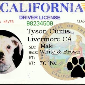 AUTOTECH SAN RAMON - Updated December 2025 - 12 Photos & 338 Reviews ...