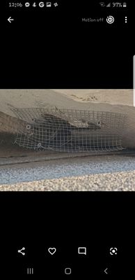 DEWEY PEST & TERMITE CONTROL - Updated October 2025 - 22 Photos & 60 ...