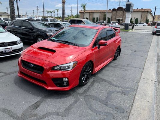 STG AUTO GROUP OF BELLFLOWER - Updated May 2025 - 403 Photos & 684 ...