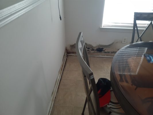 UNIVERSAL PROPERTY & CASUALTY INSURANCE COMPANY - Updated January 2026 ...