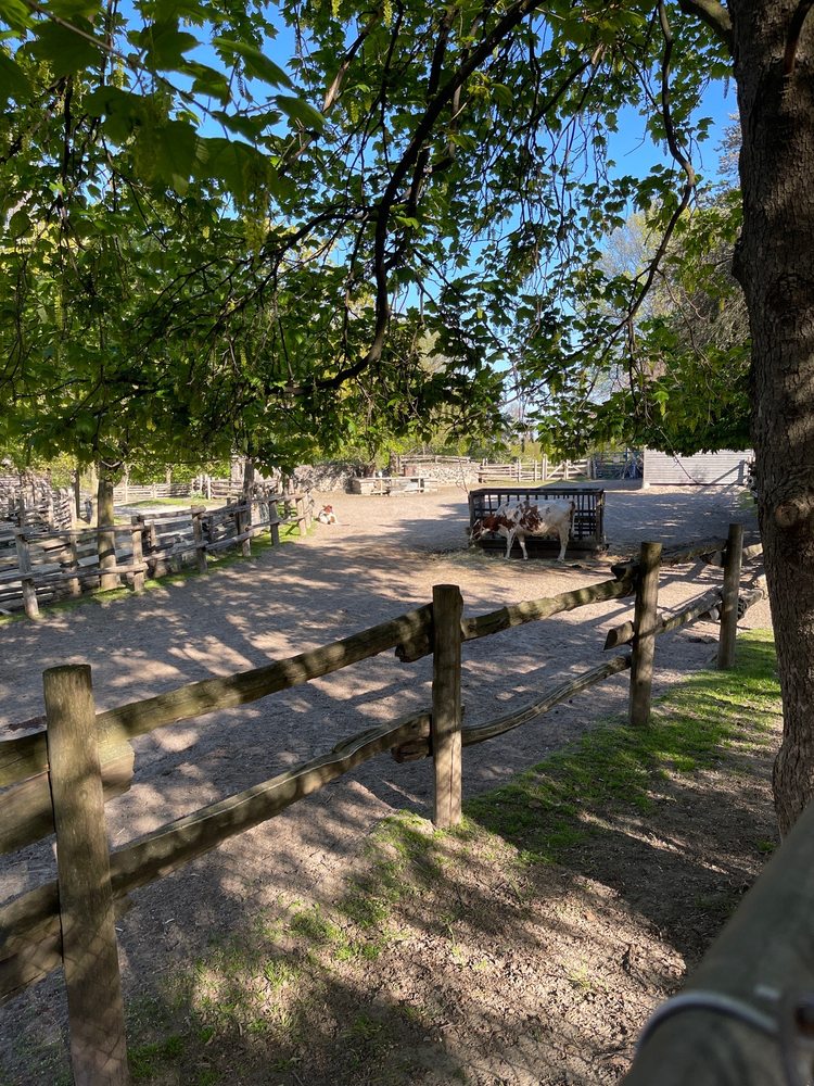 RIVERDALE FARM - 148 Photos & 42 Reviews - Zoos - 201 Winchester Street ...