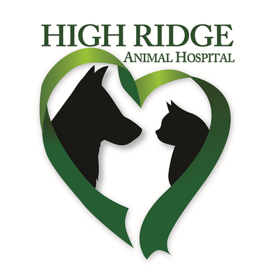 HIGH RIDGE ANIMAL HOSPITAL - Updated October 2025 - 12 Photos & 24 ...