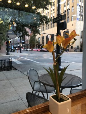 POKE BUNNY - Updated December 2025 - 62 Photos & 43 Reviews - 100 E Gay ...