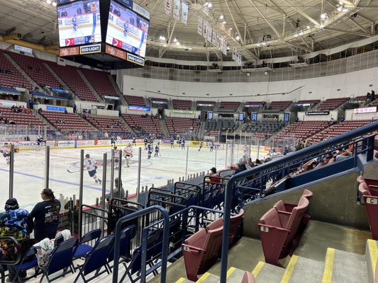 SOUTH CAROLINA STINGRAYS - Updated October 2025 - 60 Photos & 29 ...