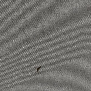 SOLIL MANAGEMENT - Updated October 2025 - 42 Photos & 192 Reviews ...