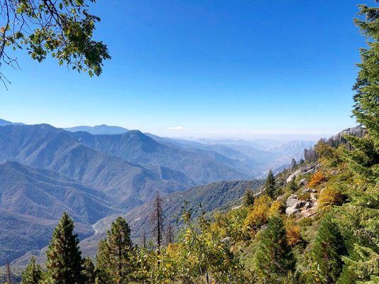 CRESCENT MEADOW AND THARP’S LOG - 64 Photos & 11 Reviews - Crescent ...