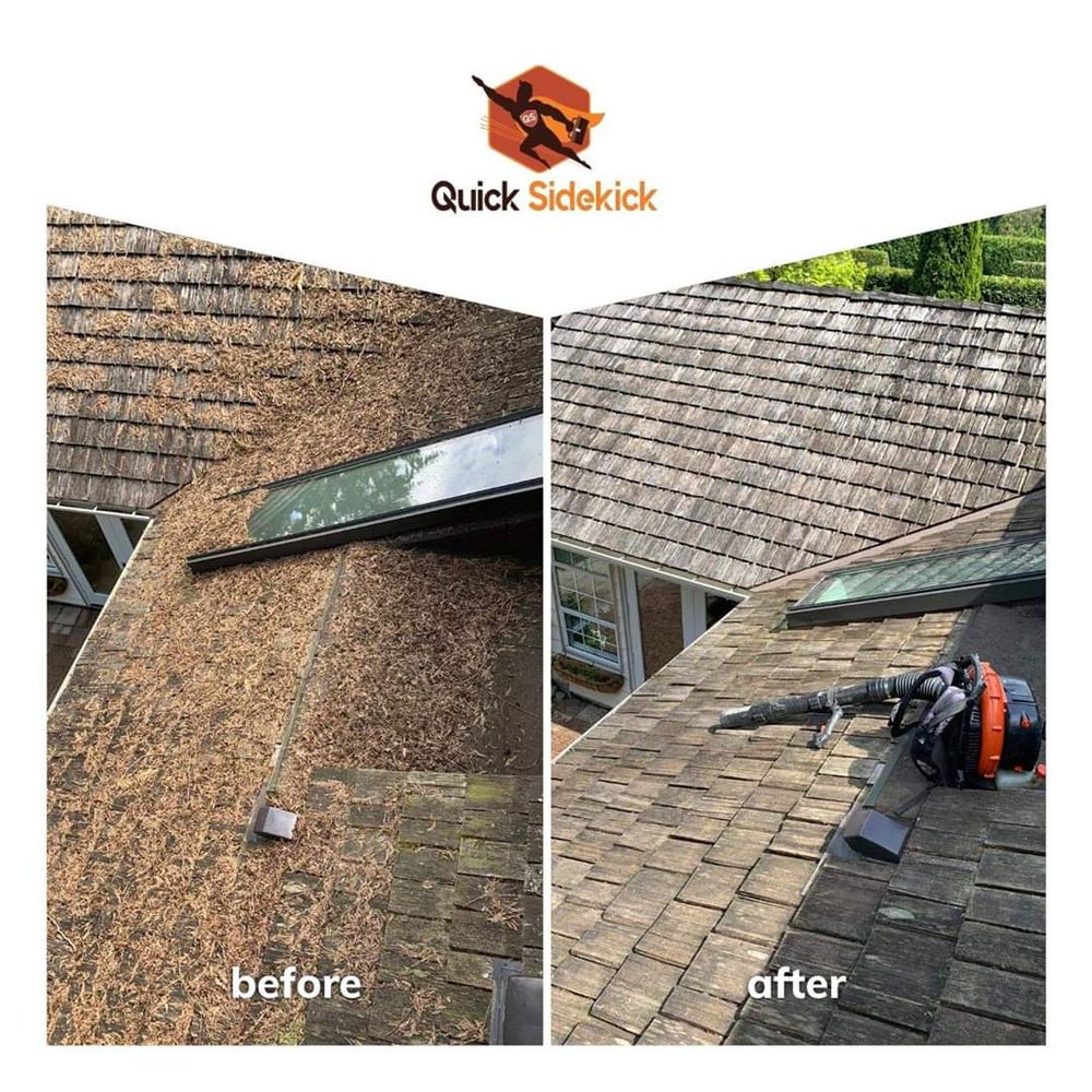 QUICK SIDEKICK - Updated December 2025 - Request a Quote - 53 Photos - Burnaby, British Columbia ...