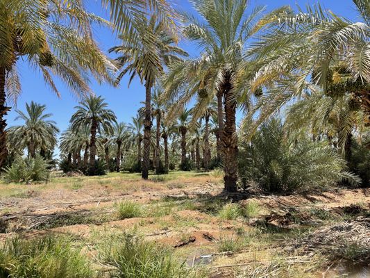 DATELAND TRAVEL CENTER - Updated December 2025 - 329 Photos & 235 ...