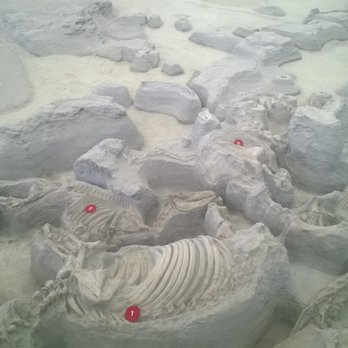 ASHFALL FOSSIL BEDS STATE HISTORICAL PARK - Updated October 2025 - 14 ...