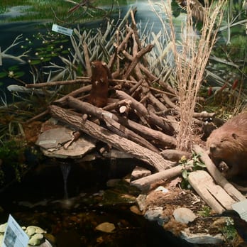 HOGBACK RIDGE PRESERVE - Updated October 2025 - 73 Photos & 11 Reviews ...