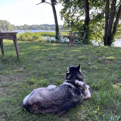 BLACKSTONE RIVER GLASS CENTER - Updated July 2025 - 66 Photos - 30 Meeting St, Cumberland, Rhode ...