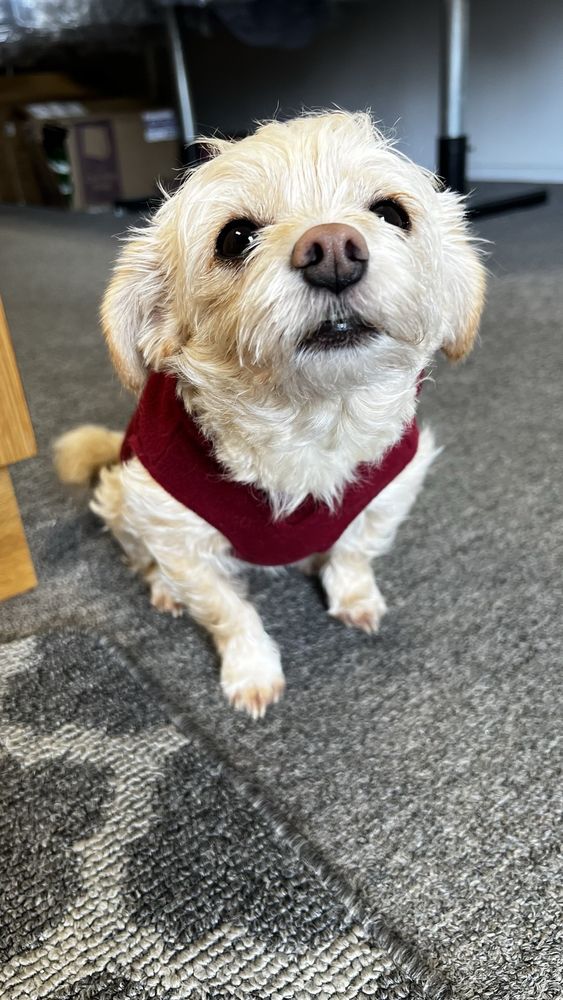 LUCAS VALLEY CLEANERS - Updated August 2025 - 13 Photos & 35 Reviews ...