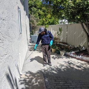 CORKY’S PEST CONTROL - Updated November 2024 - 33 Photos & 557 Reviews ...