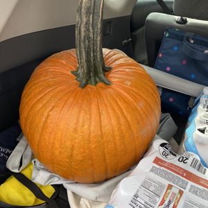 GOGLE FARMS - Updated July 2025 - 34 Photos - 5017 Mulberry St, Coplay ...