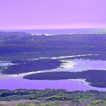 POMPONIO STATE BEACH - Updated January 2026 - 157 Photos & 49 Reviews ...
