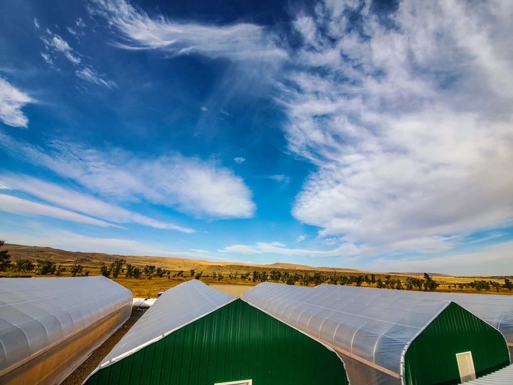 Sacred Sun Farms - Trusted Since 2020 - Updated July 2025 - 323 ...