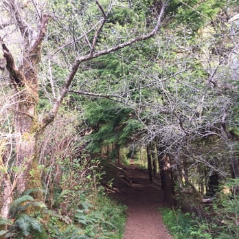 NEAHKAHNIE MOUNTAIN - Updated May 2025 - 41 Photos & 17 Reviews - 9500 ...