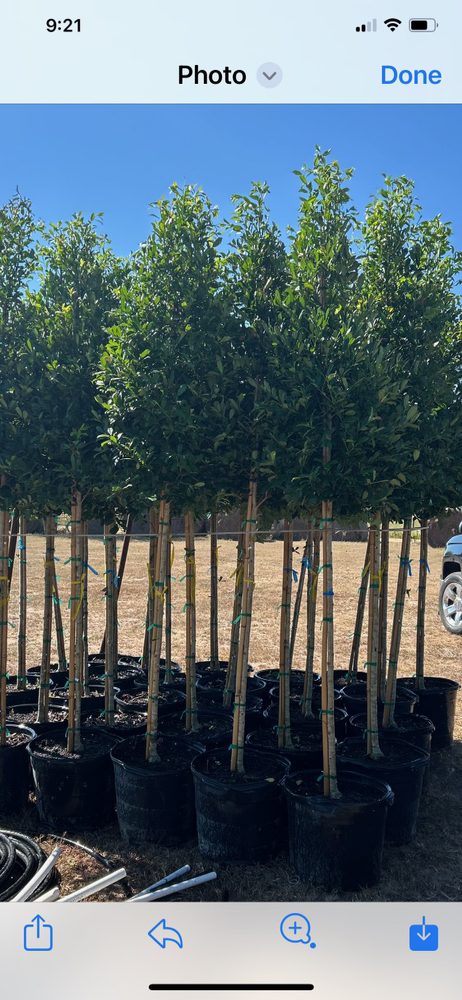 MARTINEZ IRRIGATION AND DRAINAGES - Updated January 2026 - 167 Photos ...