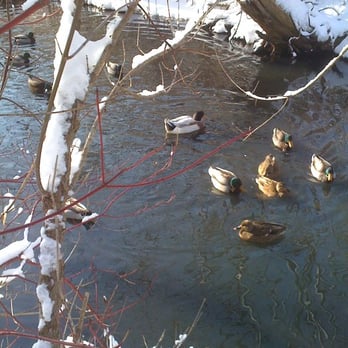 GRENADIER POND - Updated October 2025 - 14 Photos - High Park, Toronto ...