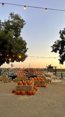 VISTA RANCH AND CELLARS - Updated December 2025 - 152 Photos & 75 ...