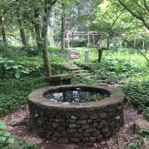 THE DEVIL’S TREE - Mountain Rd, Basking Ridge, New Jersey - Local ...