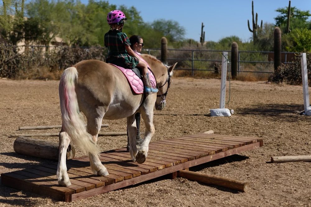 THE WHINNY WAGON - Updated May 2025 - 16026 N 16th St, Phoenix, Arizona ...