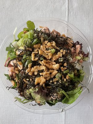 POKEMOTO - Updated October 2024 - 33 Photos & 30 Reviews - 550 N Webb ...