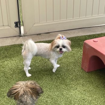 RUFF HOUSING COUNTRY CLUB - Updated May 2024 - 40 Photos & 33 Reviews - 5648 Country Club Rd ...