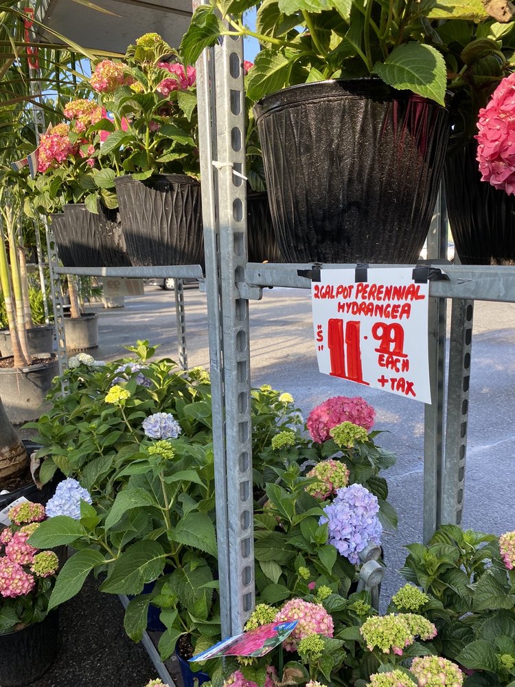 PAT’S FARMS - Updated December 2025 - 33 Photos & 43 Reviews - 1142 ...