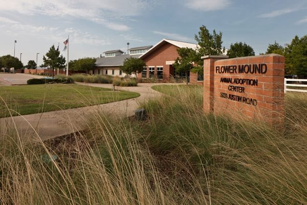 FLOWER MOUND ANIMAL SERVICES - Updated October 2025 - 3950 Justin Rd ...