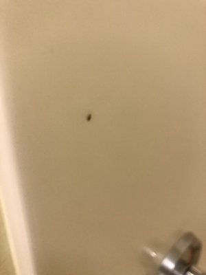 MAINSTAY SUITES RALEIGH - CARY - Updated December 2025 - 1020 Buck ...