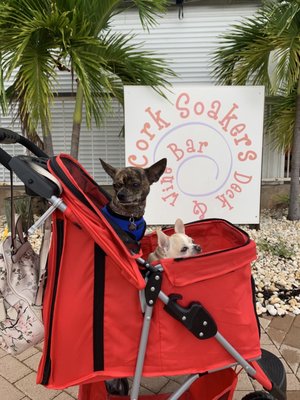 CORK SOAKERS DECK AND WINE BAR with 350 Reviews & 373 Photos - 837 SE ...