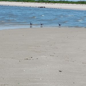 STRATHMERE BEACH - Updated December 2025 - 62 Photos & 19 Reviews ...