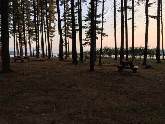 CENTRE TOURISTIQUE DU LAC-SIMON - Updated December 2025 - 1216 Rue ...