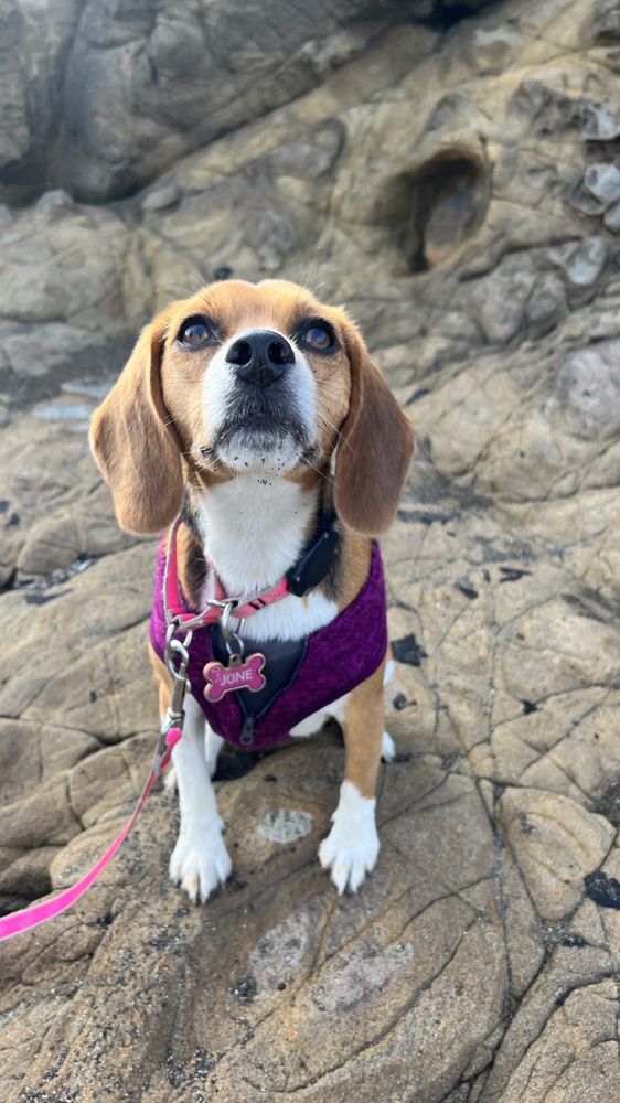 SHAMEL PARK - Updated July 2024 - 121 Photos & 29 Reviews - 5455 ...