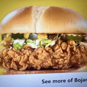 BOJANGLES - Updated November 2024 - 17 Photos & 29 Reviews - 5296 US ...
