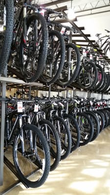 BIKE BARN - Updated January 2026 - 40 Reviews - 11105 Westheimer St ...