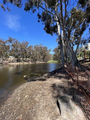 SCRIPPS MIRAMAR RANCH LIBRARY - Updated December 2025 - 105 Photos & 57 ...